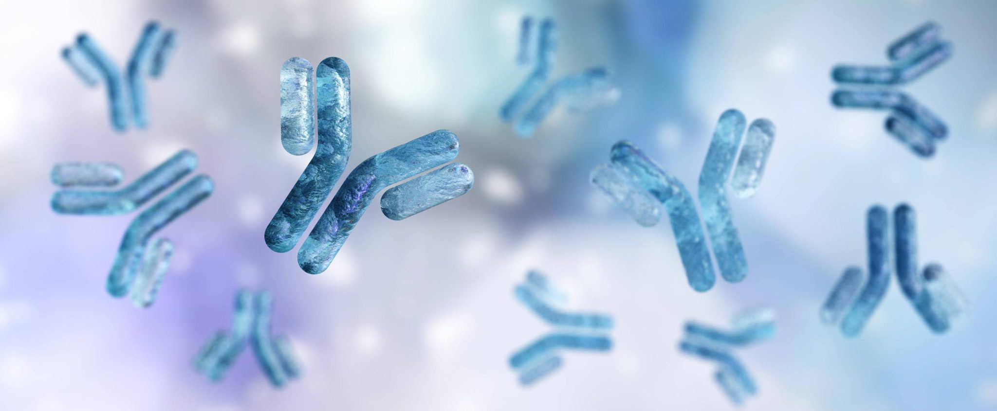 FAQ - Custom Antibody Development - Capralogics