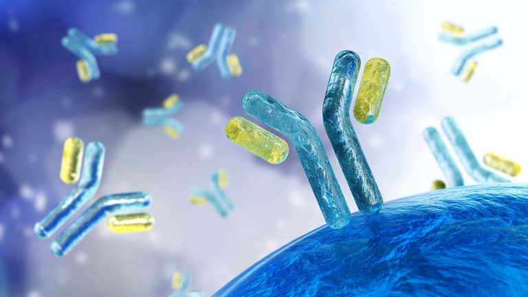 Your Experts for Polyclonal Antibody & Nanobody Generation - Capralogics